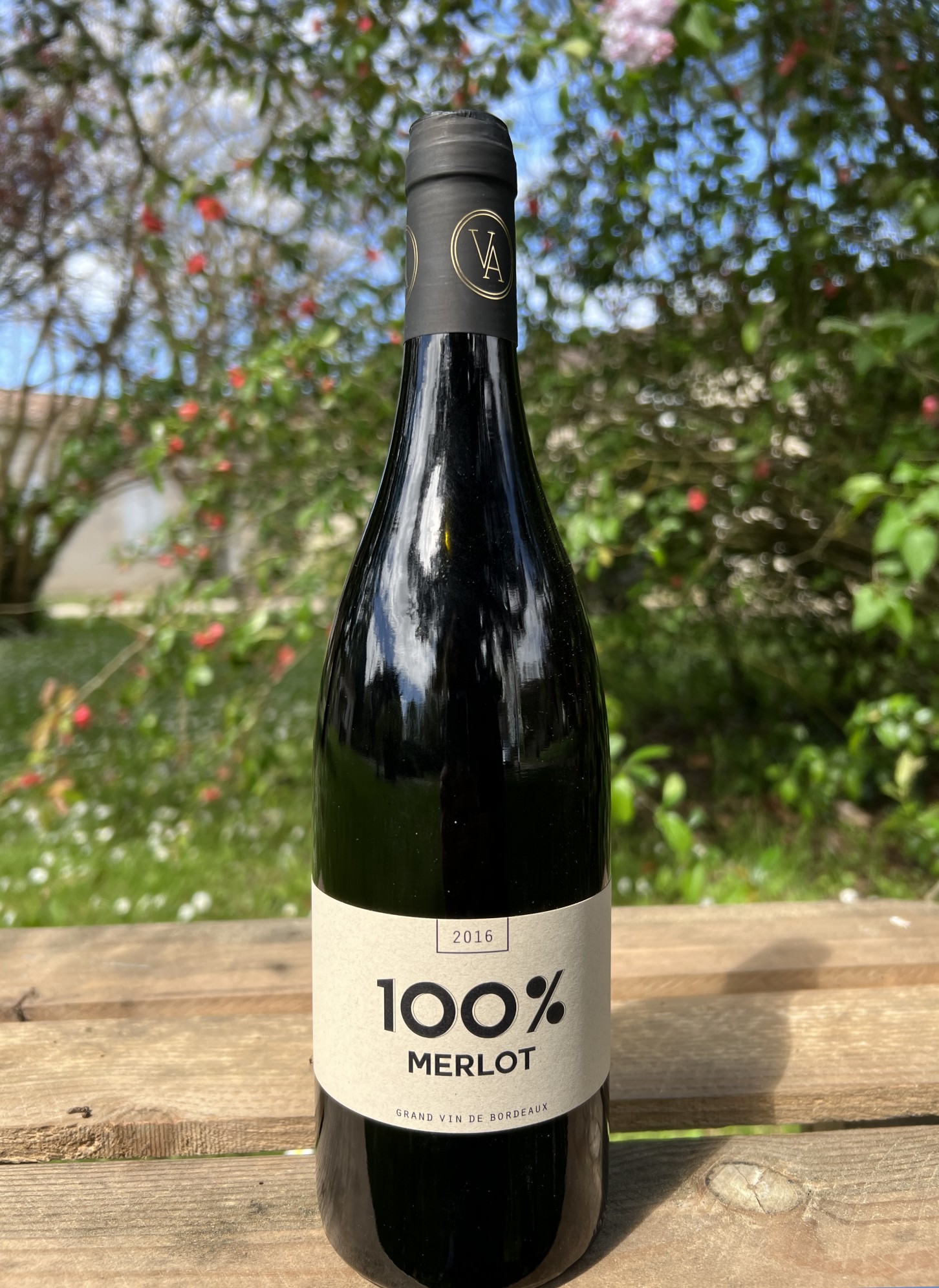 100% Merlot « Château Sigognac